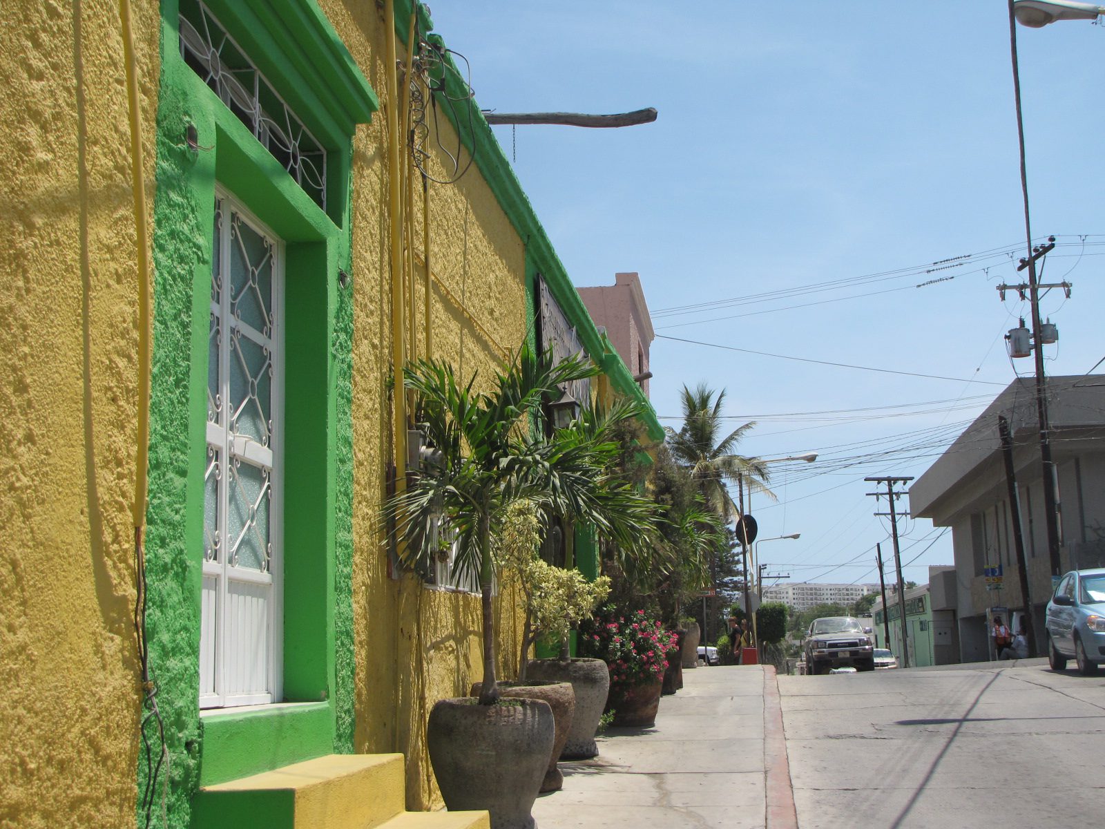 Cabo Travel Guide - Meghan Laurie