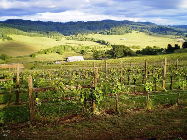 Top 10 Things to do in Portland, OR - Meghan Laurie