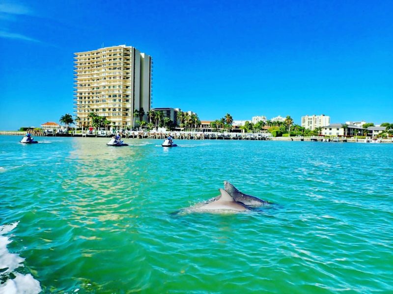 Marco Island Travel Guide - Meghan Laurie