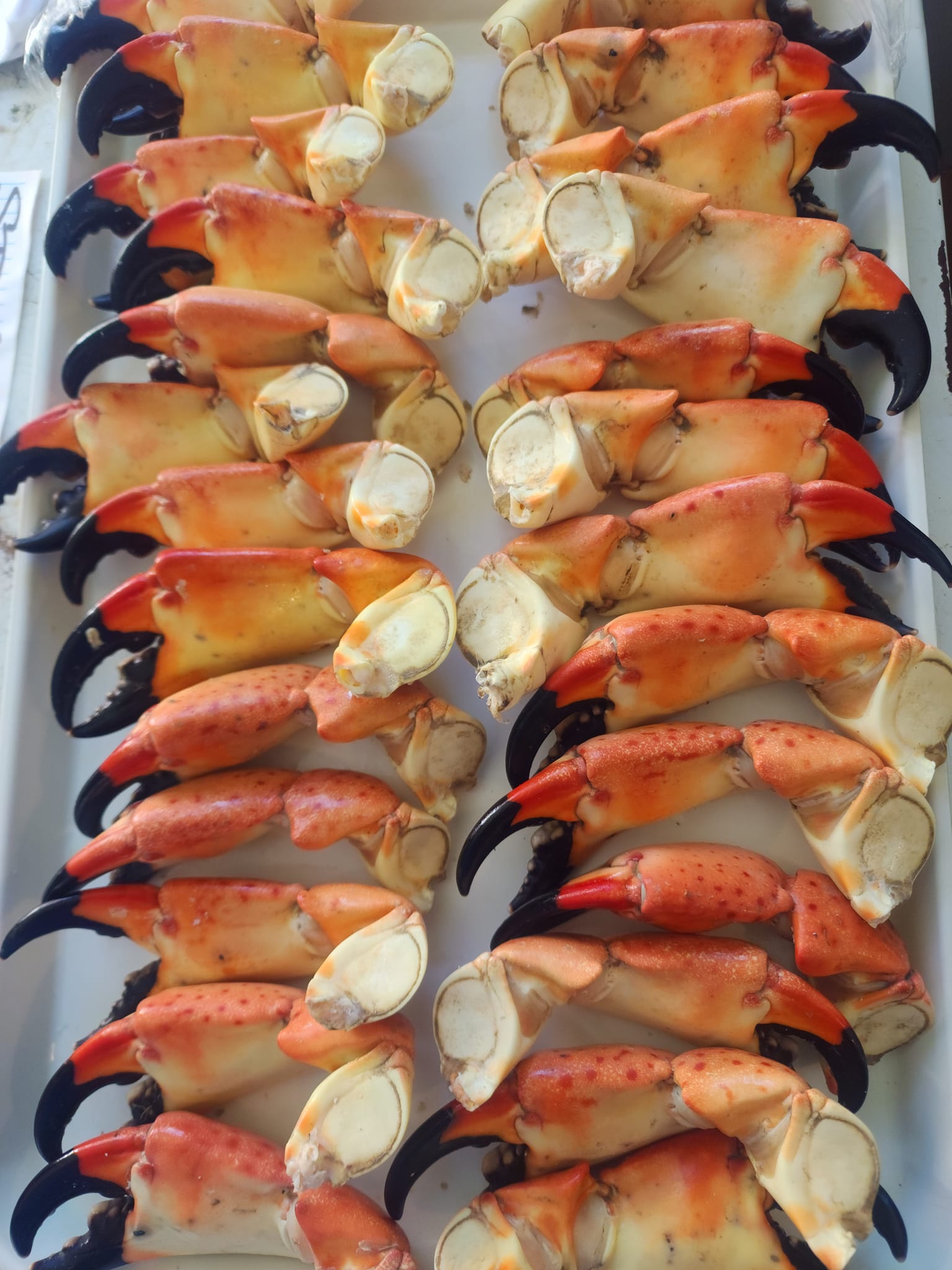 Best Restaurants in Marco Island - Meghan Laurie